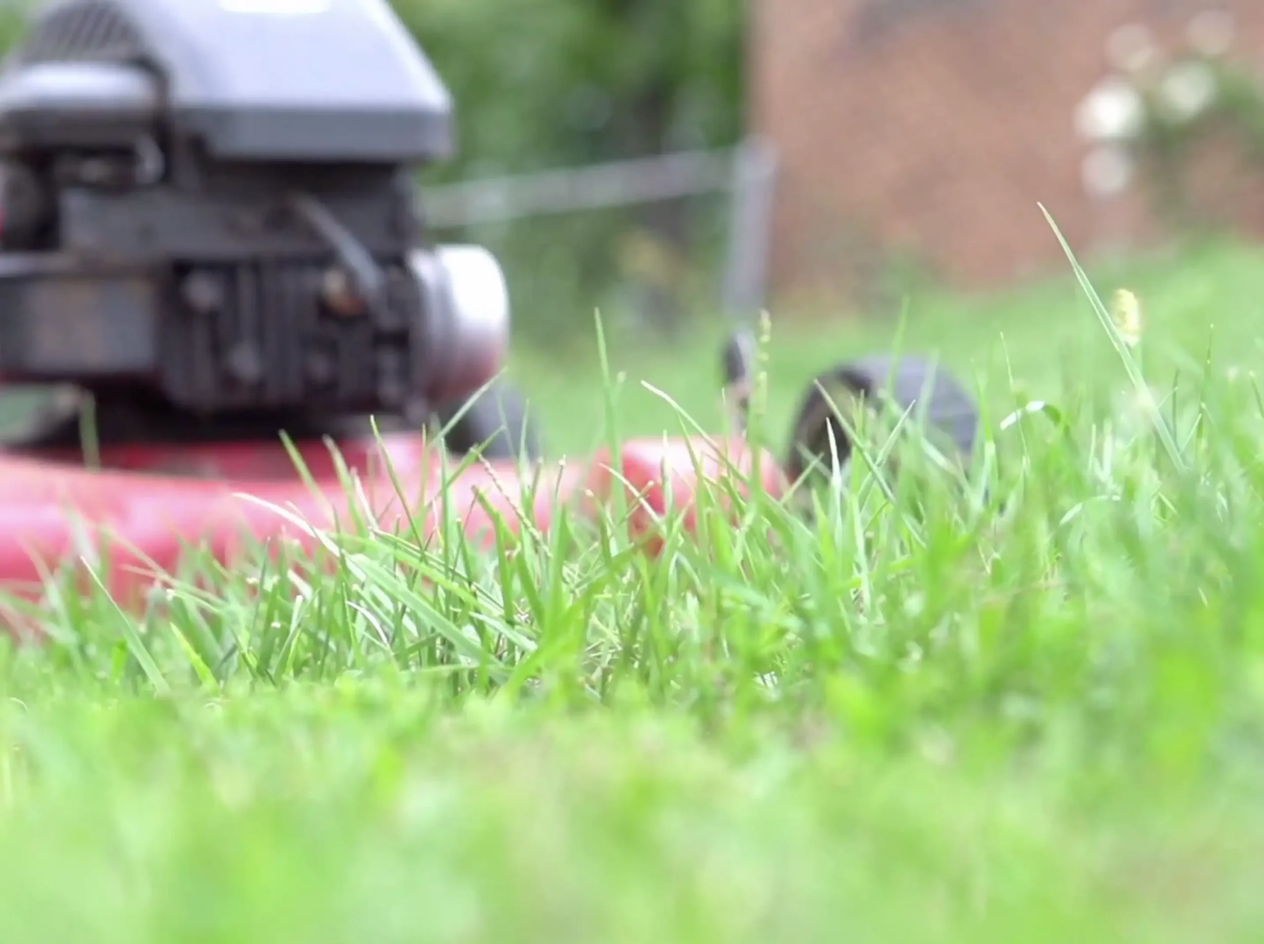 Douglas Lawn Cutting & Gardening | South Surrey Mowing